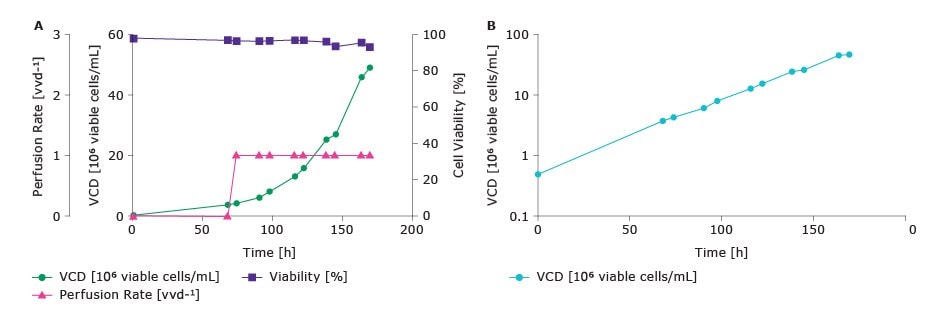 Optimizing CHO Cell Production by Perfusion Seed Culture - iNEWS