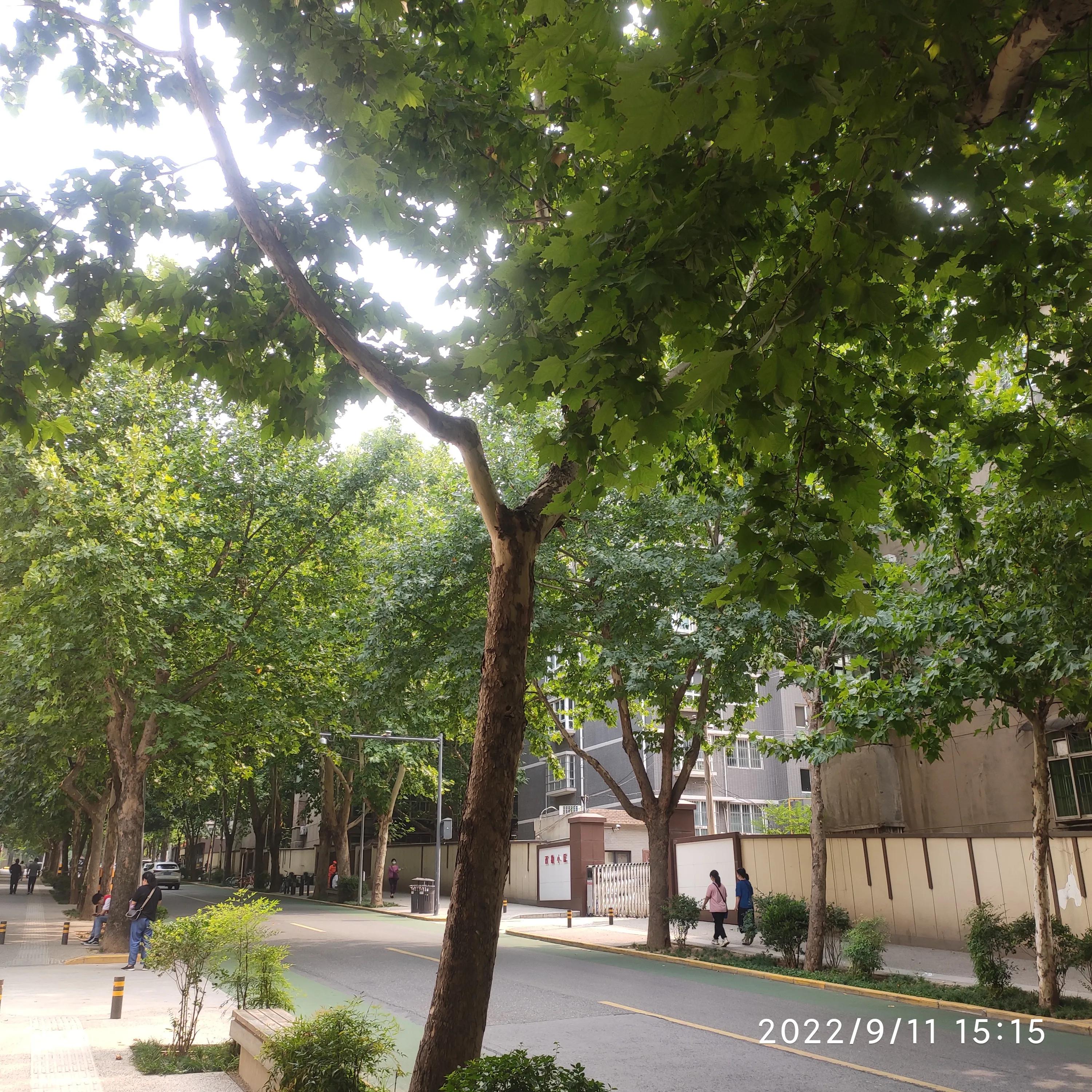 Five Laws from June 14, 2022 to March on Guangde Road - iNEWS