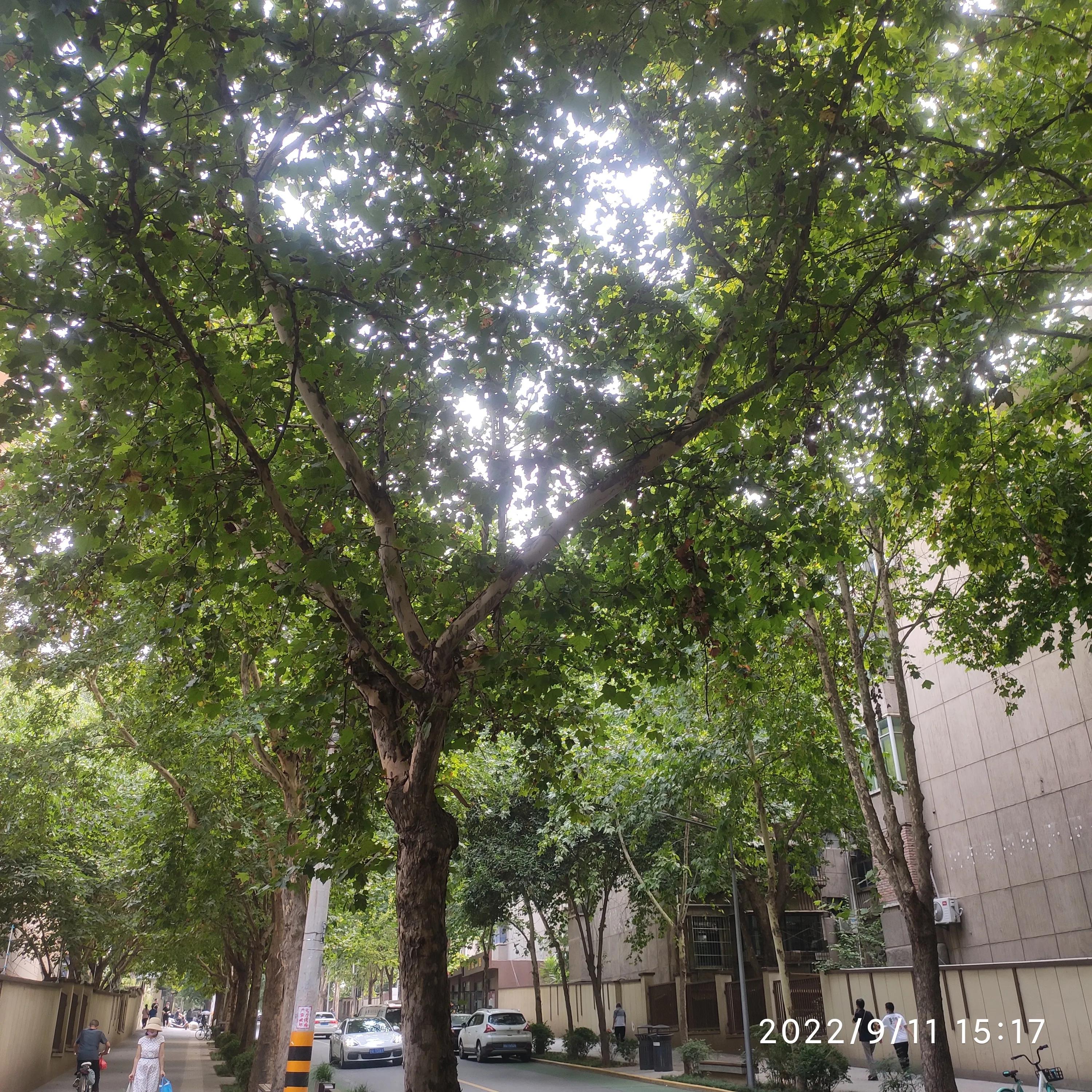 Five Laws from June 14, 2022 to March on Guangde Road - iNEWS