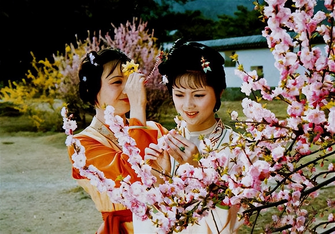 A century of red studies is absurd. Why has the study of red studies ...