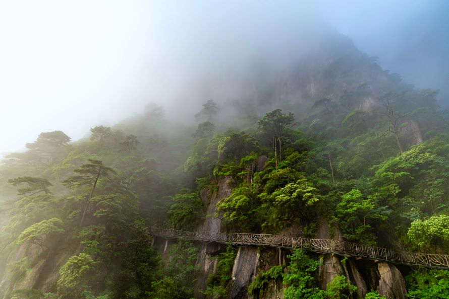 The beautiful Sanqing Mountain, we can't get enough of it - iNEWS