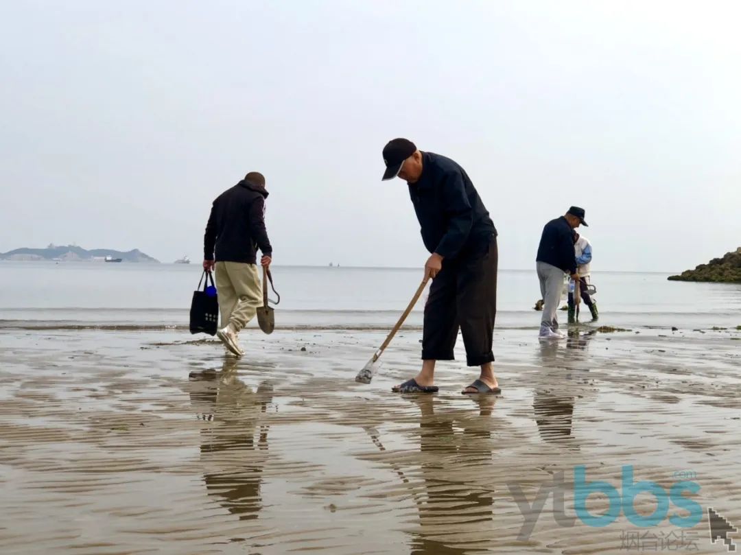 Catch the sea and become the greatest pleasure of Yantai people!These ...