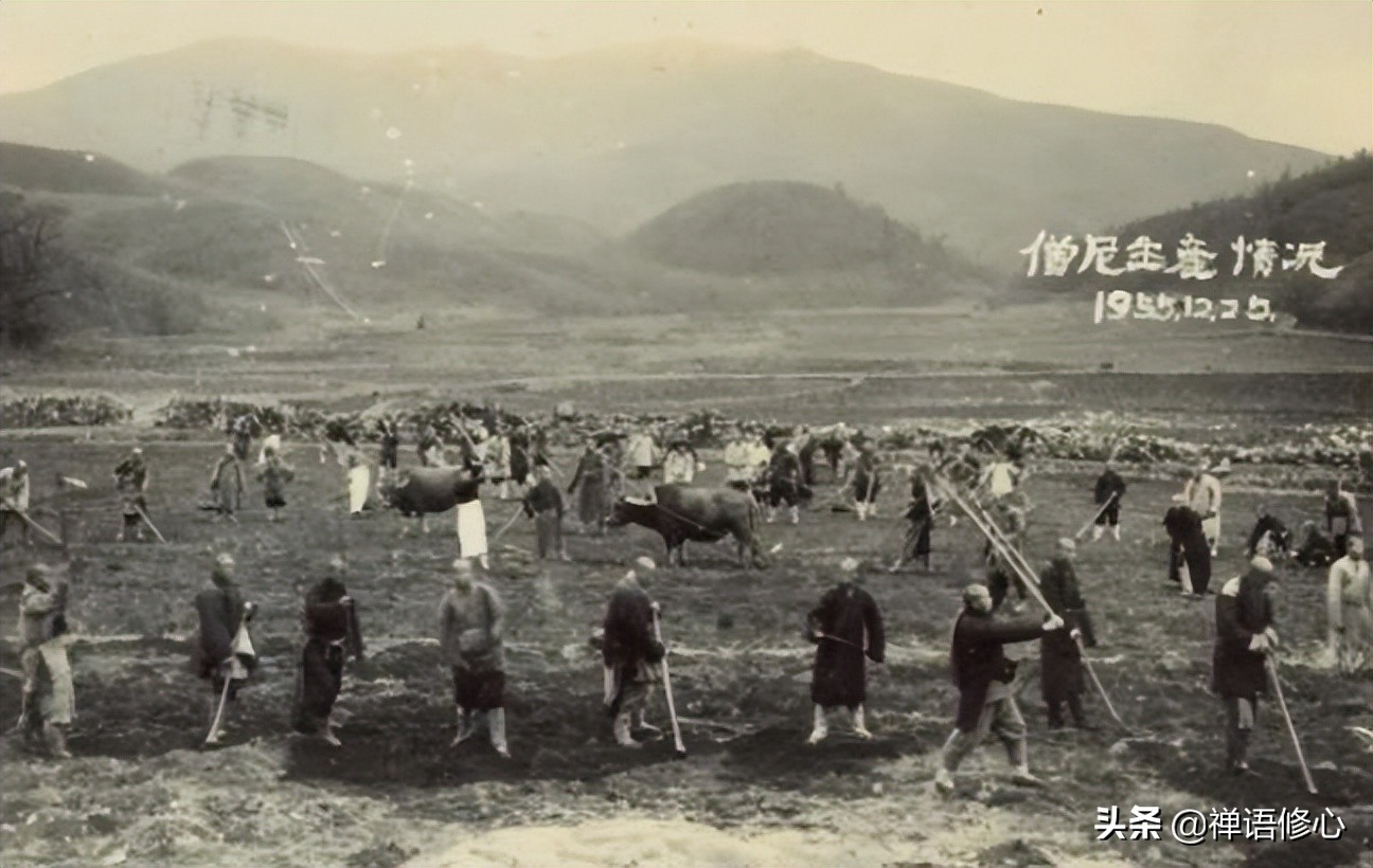 Introduction to the old monk Xuyun (the legendary life of the elder ...