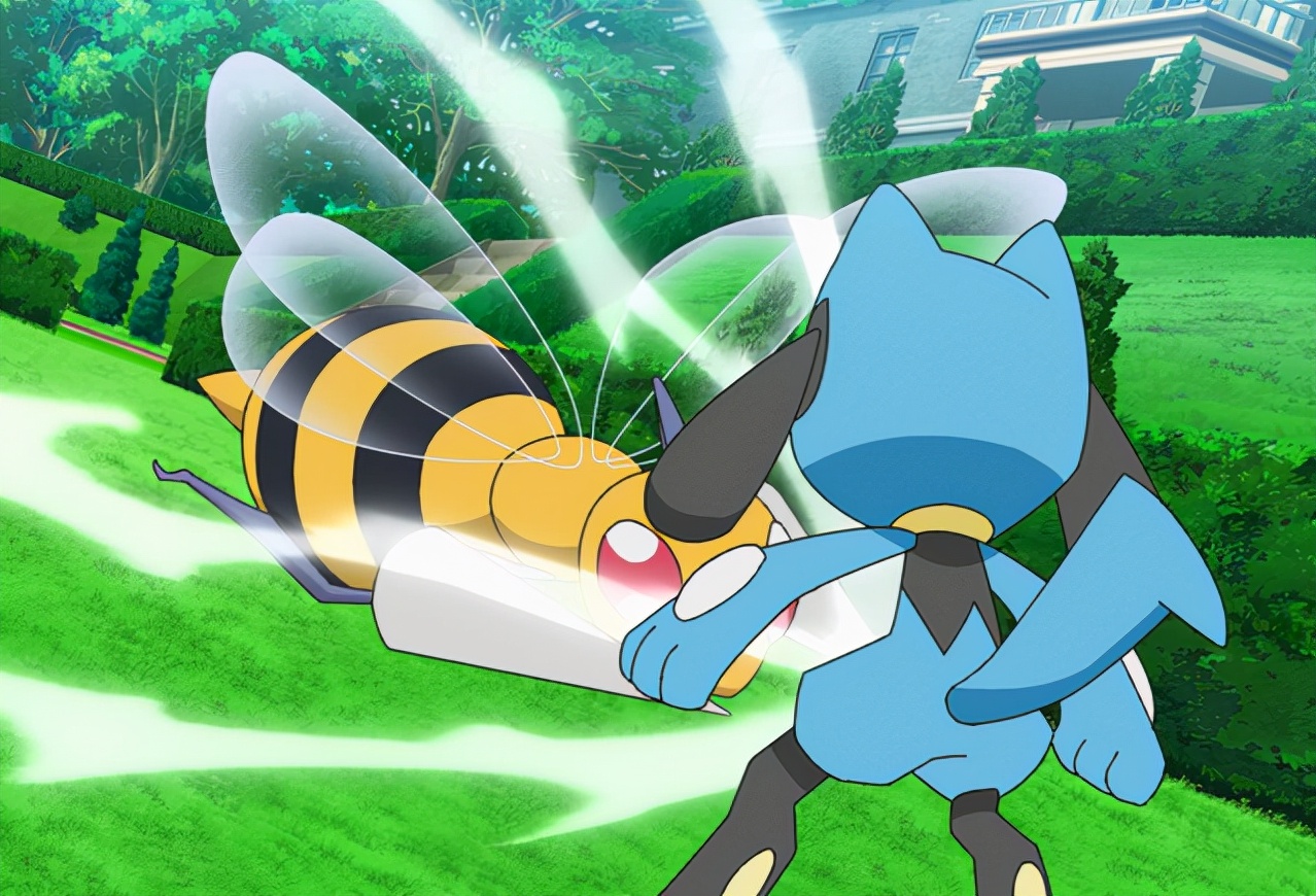 "Pokémon" is the battle of ordinary hornet bees hopeless?Can CT still ...