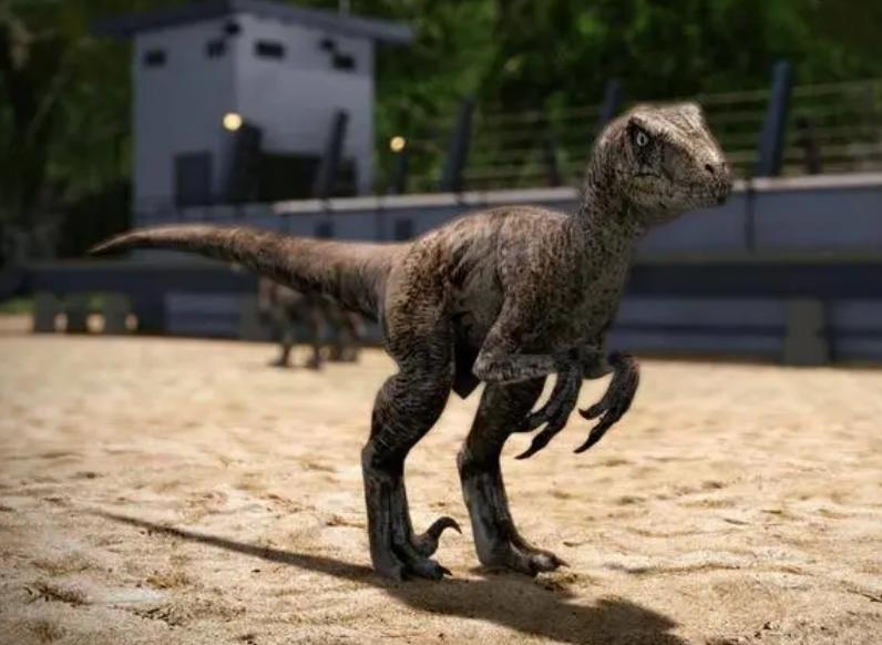 Velociraptor's Mysterious Journey: Unraveling the Mysteries of the ...