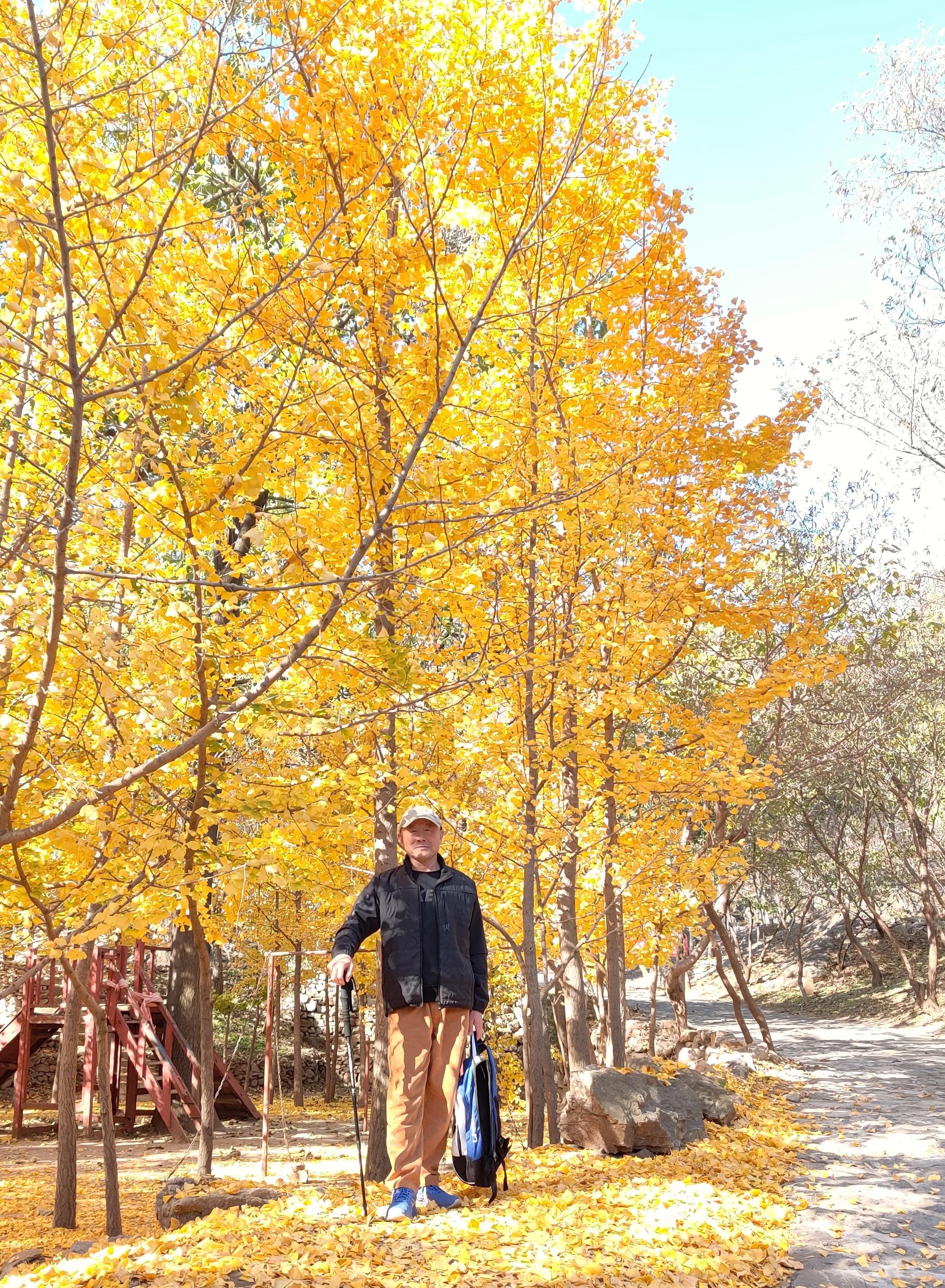 "One Day Tour of Boshan" - iNEWS