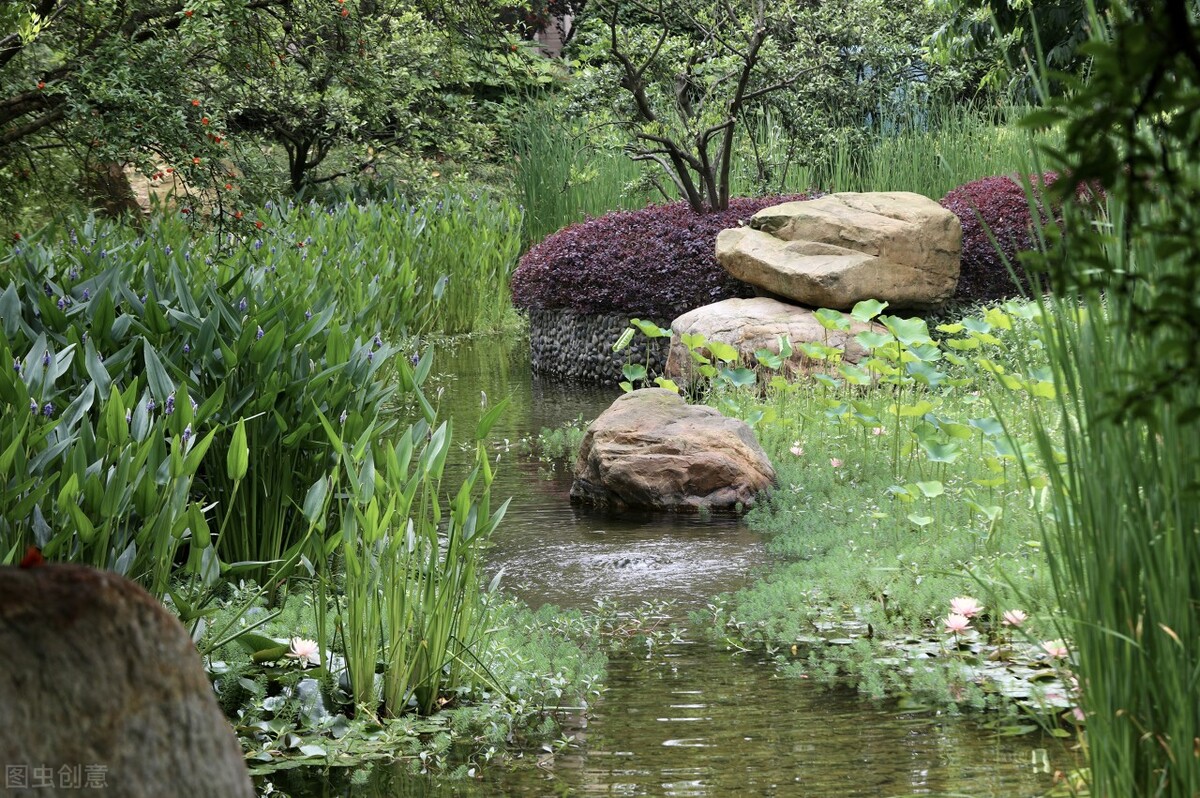 "Reading the Book and Feelings": Zhu Xi's poems pioneered the beauty of ...