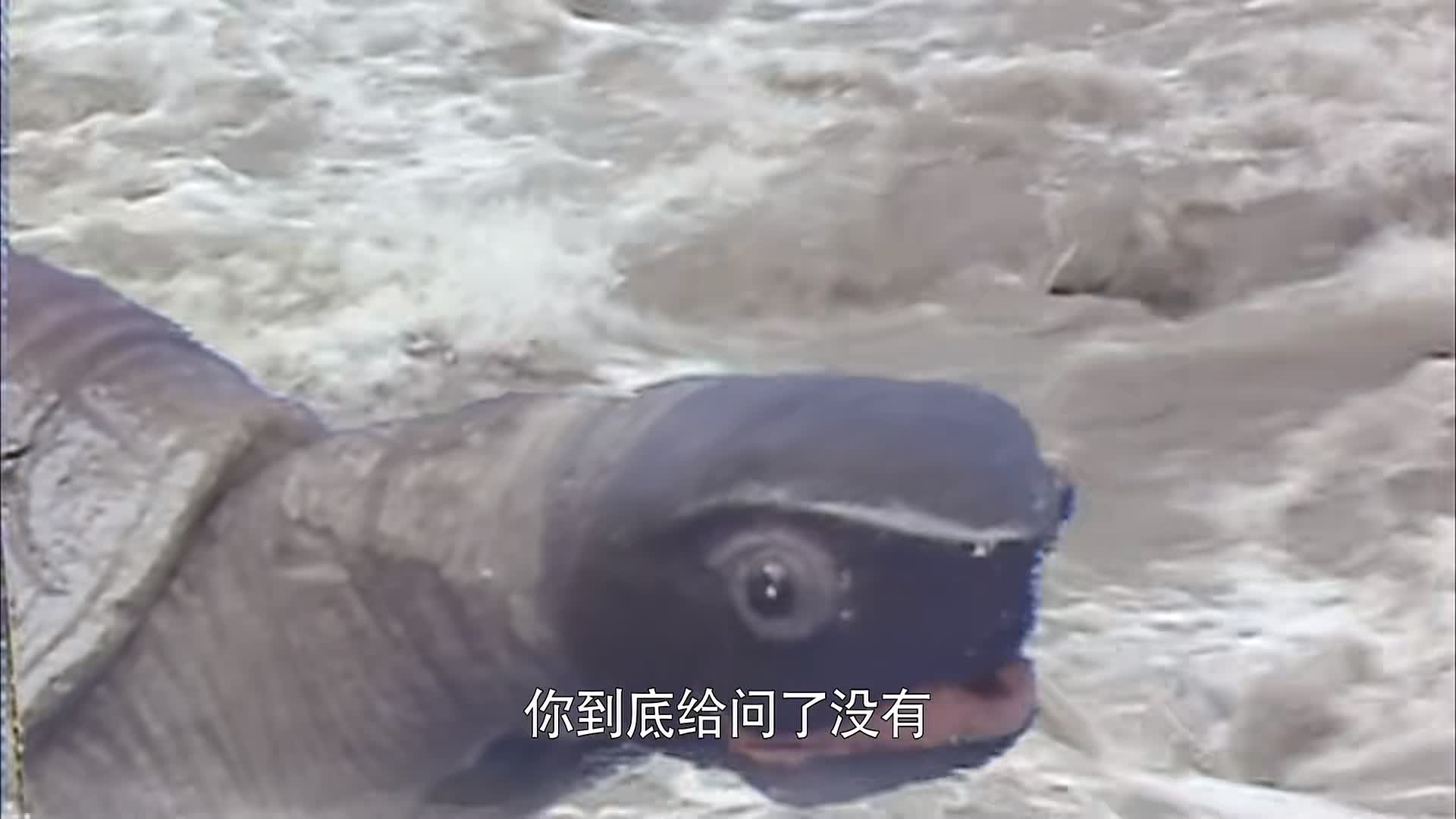 After reading the original book, I was sweating all over. No wonder ...