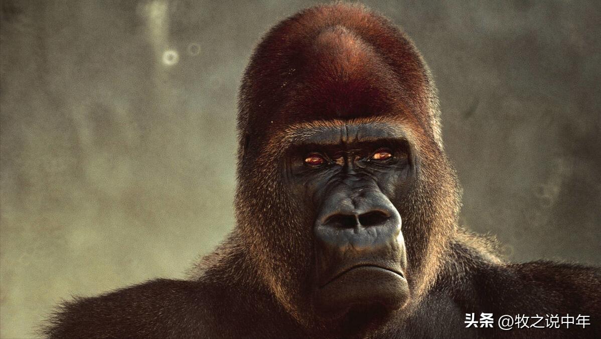 Demystifying the perfect body shape in men's minds: is it thin or fat ...