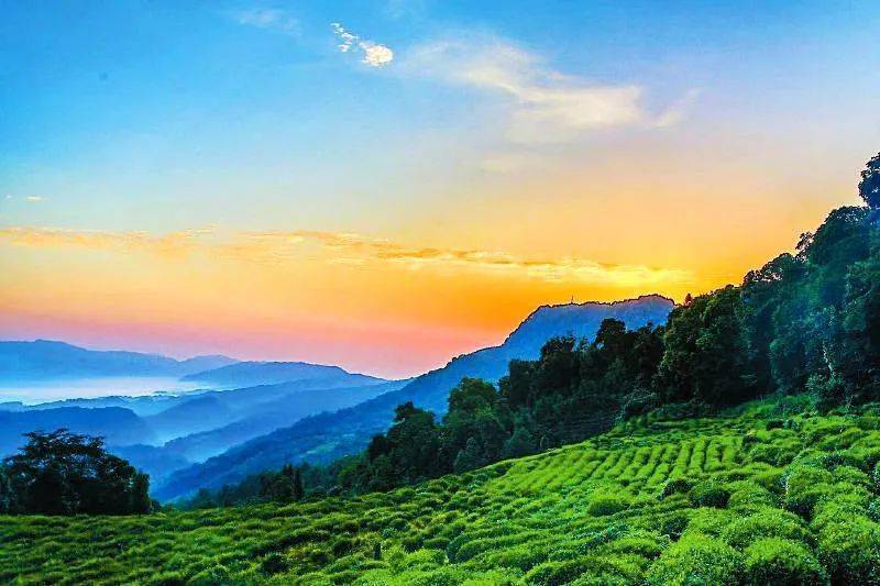 [Tea Culture]Tea and Taoism ‖ Hou Zhiming - iNEWS