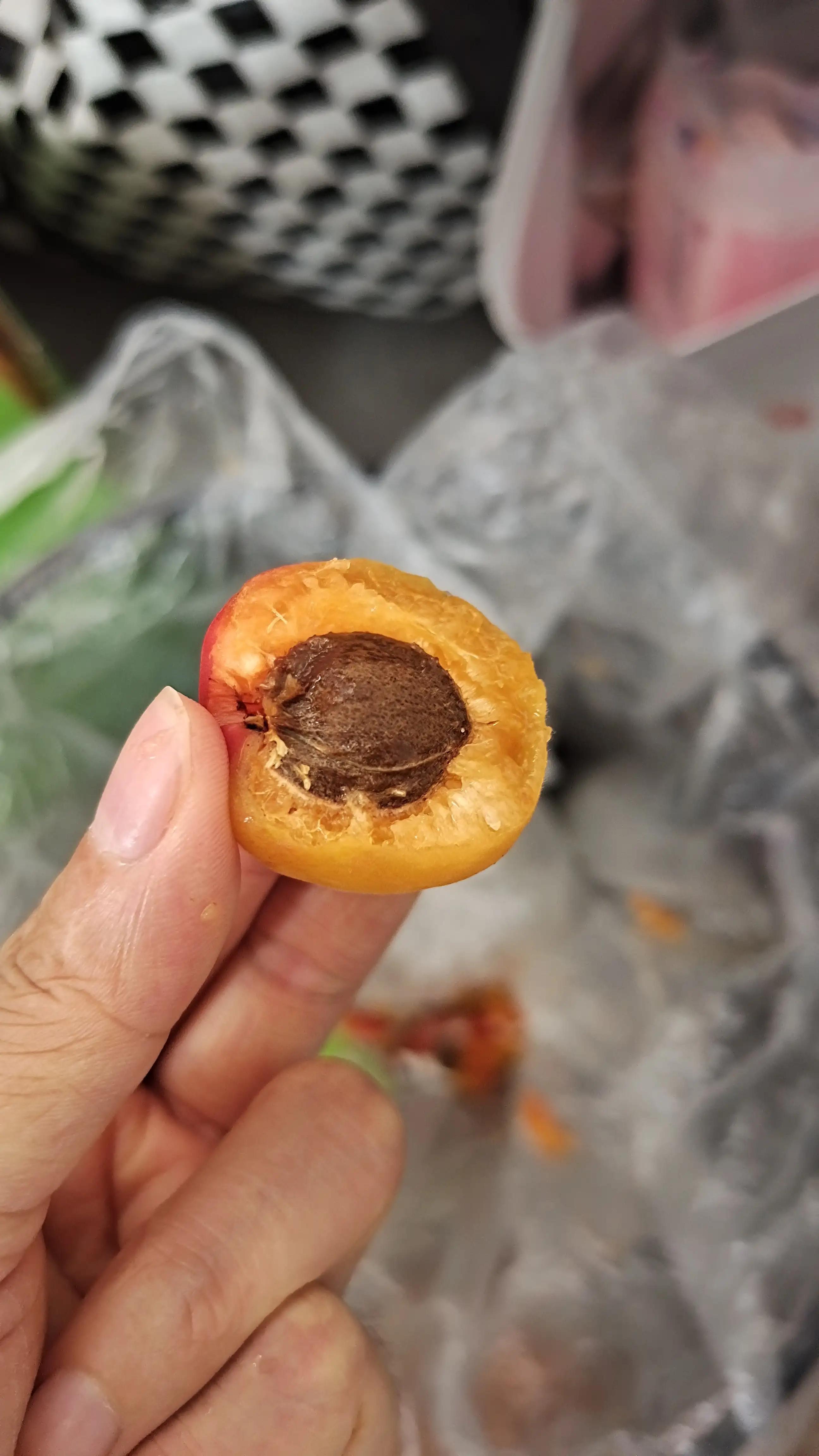 Have you ever eaten this fruit? - iNEWS