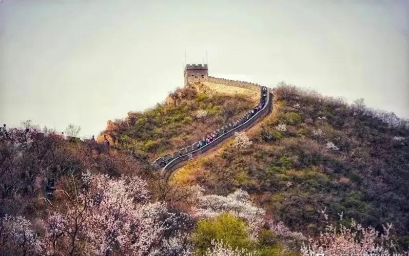 Why do Chinese emperors like to build walls? ? - iMedia