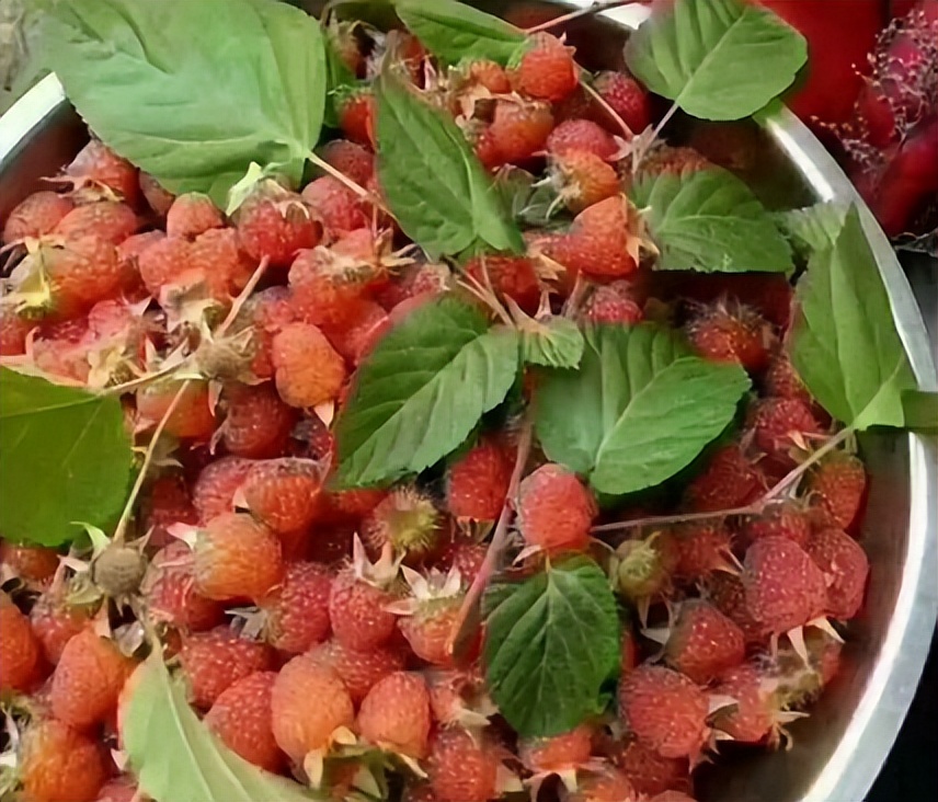 Commonly known as "March Bubble", the snack of cattle herding in ...