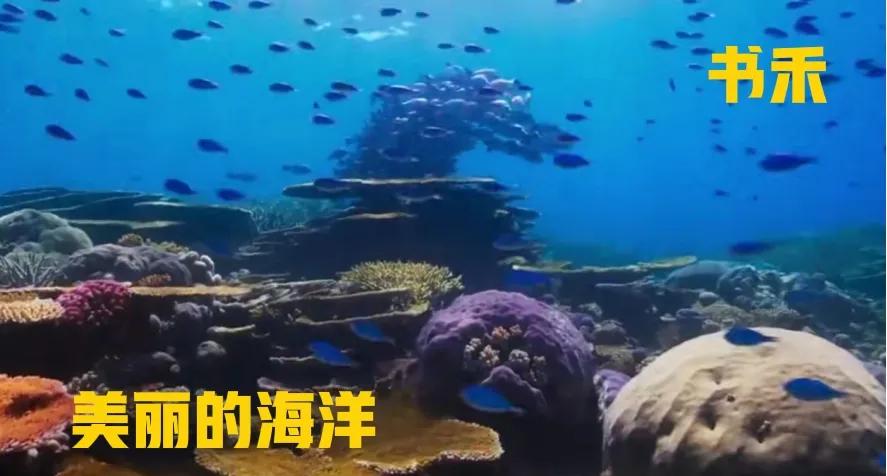 How did the ocean form? - iNEWS