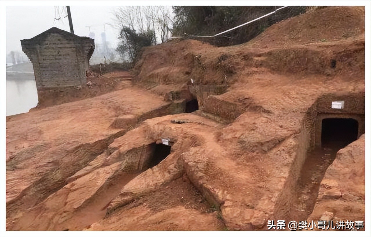The 2000-year-old tomb was dug in Hubei, and a "millennium turtle" was ...
