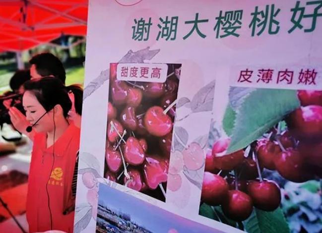 The "first branch of spring fruit" praised by the ancients, the ...