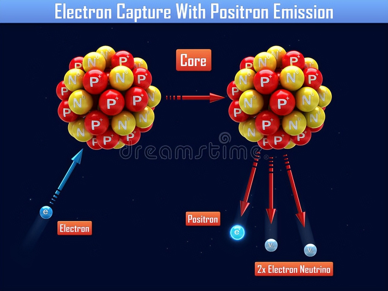 Elaborate on the weak force of the four fundamental forces in the ...