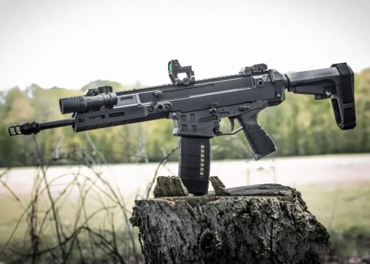 The 36 "most beautiful" assault rifles in the world are in line with ...