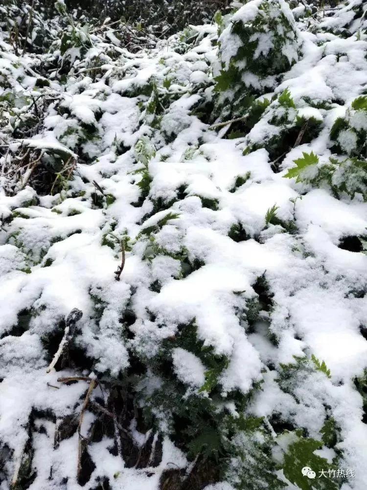 Dazhu Tourism and Food - iNEWS