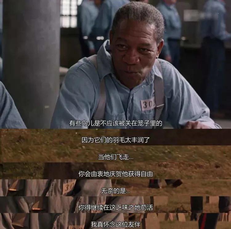 The Shawshank Redemption: Freedom, Hope, and Humanity - iNEWS