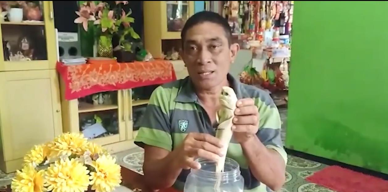 7 kinds of strange creatures discovered by the folks, human-faced fish ...