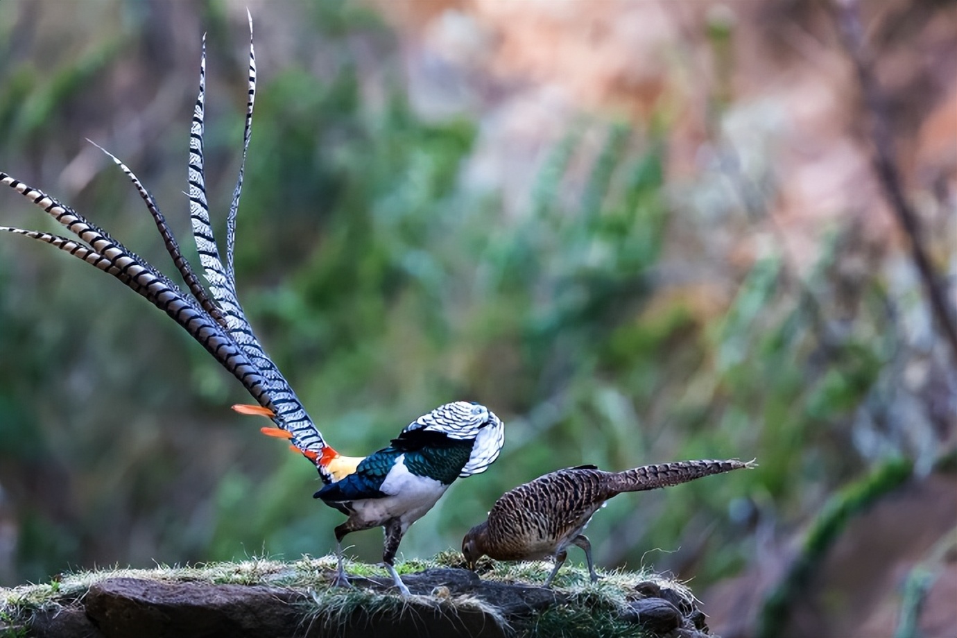 When a person reaches old age, he must hold these two things firmly in ...