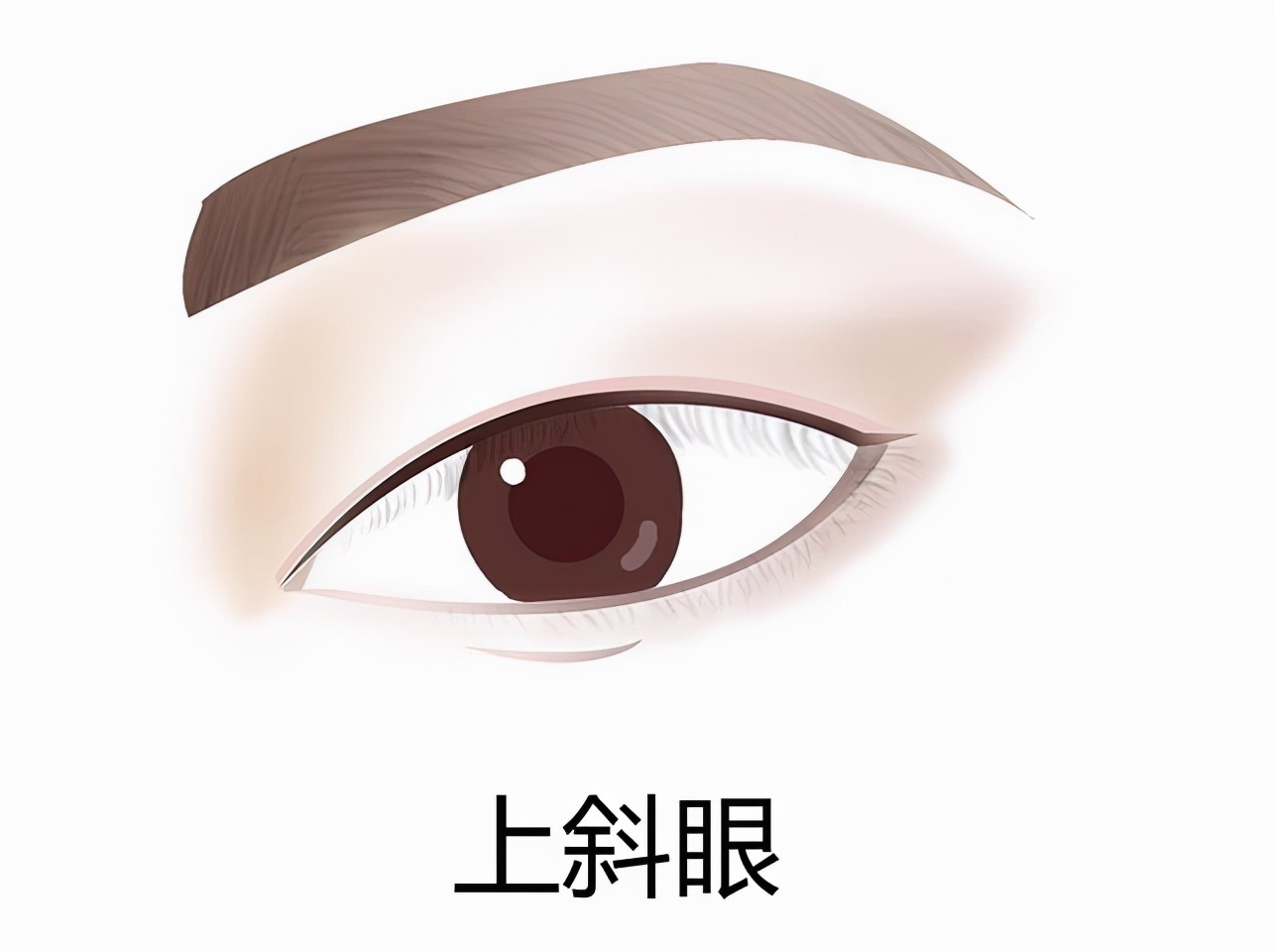 10 common eye shapes in China, which one are you? - iMedia