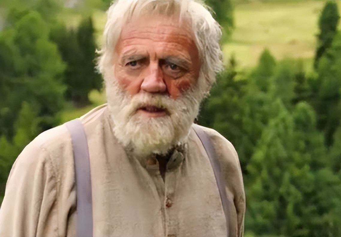 How the movie "Heidi and Grandpa" constructed the picture and color ...