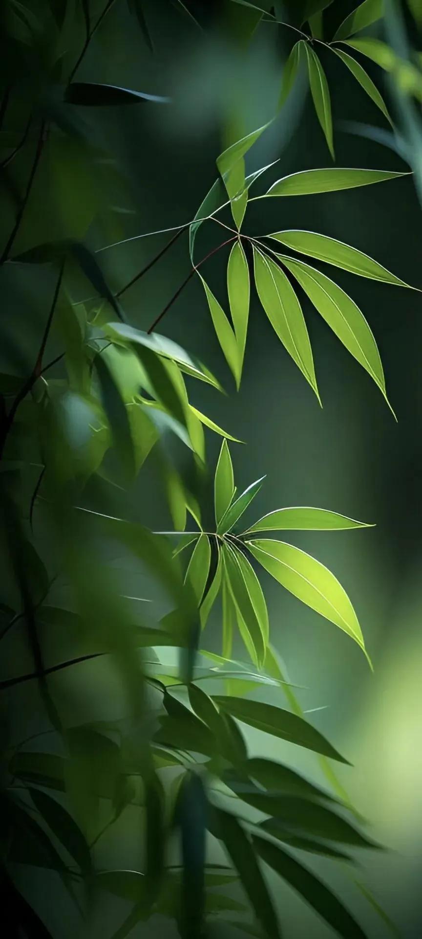 Very comfortable green eye protection wallpaper - iNEWS