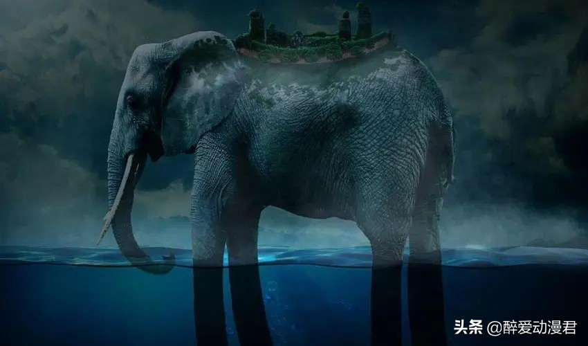 One Piece Chapter 1037 intelligence, the elephant landed in Wano, the ...