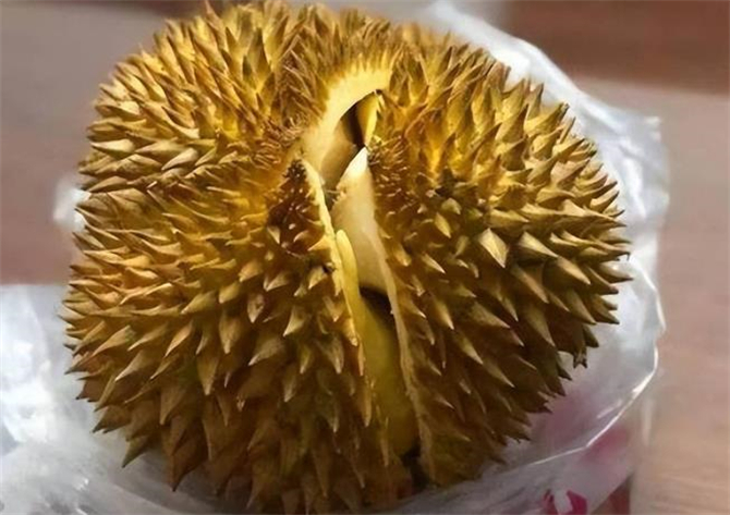 When picking durians, don't just look at the size and crack! Experts ...
