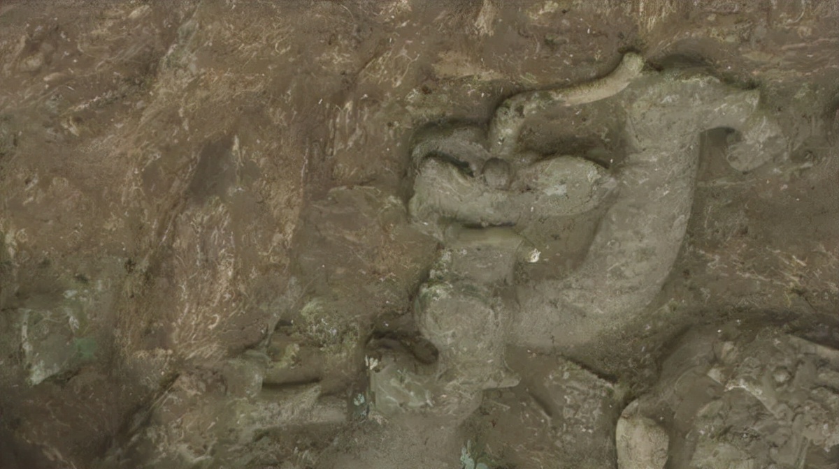 A bronze dragon with a tiger's head and a tiger's brain found in ...