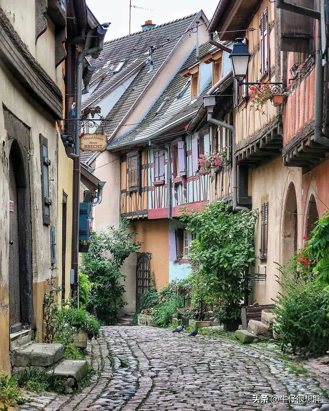 Small town style - iNEWS