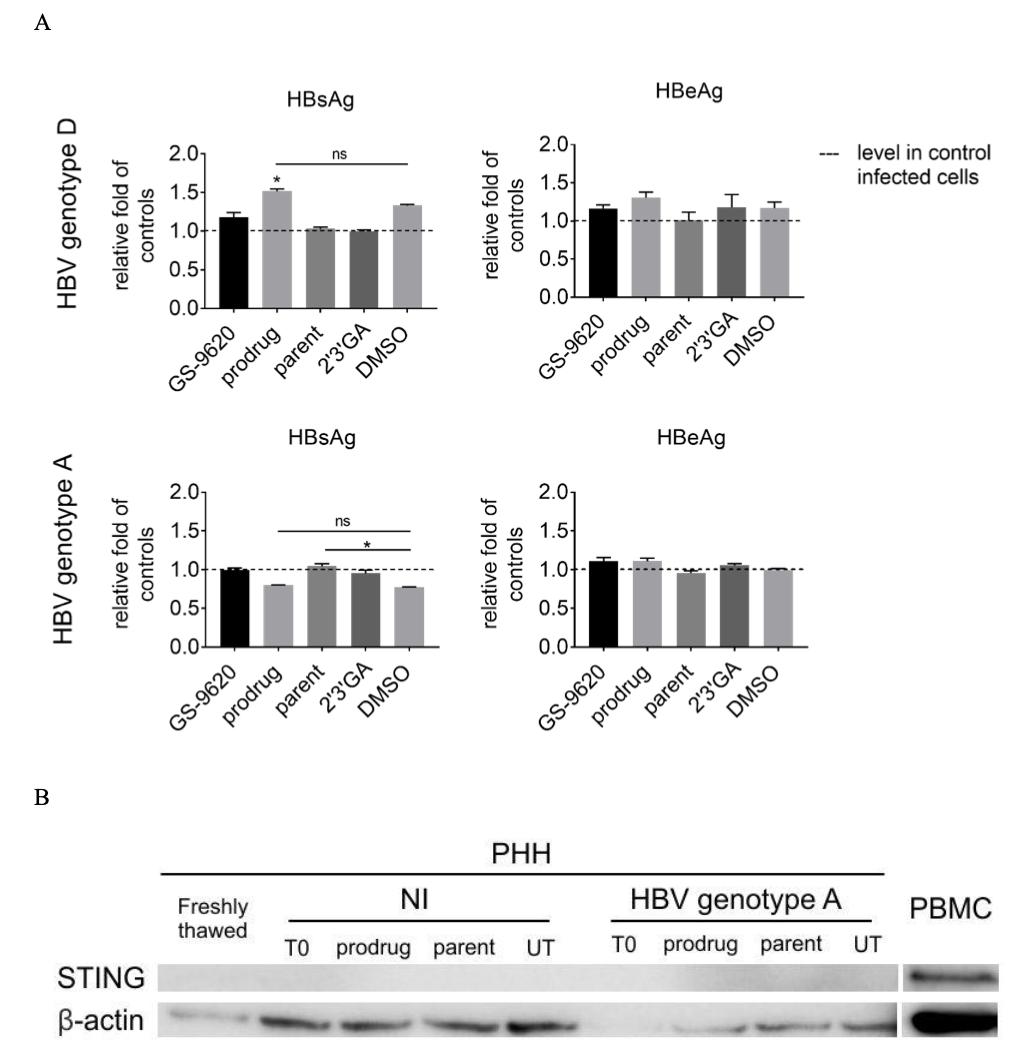 Hepatitis B drug discovery, synthesis of STING agonists, modulation of ...