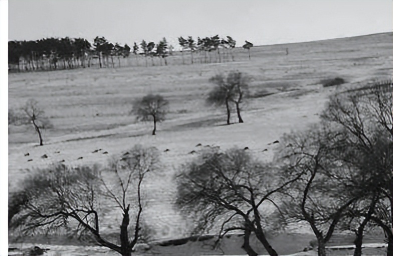 What is so scary about Ning Gu Pagoda?Why do female prisoners prefer to ...