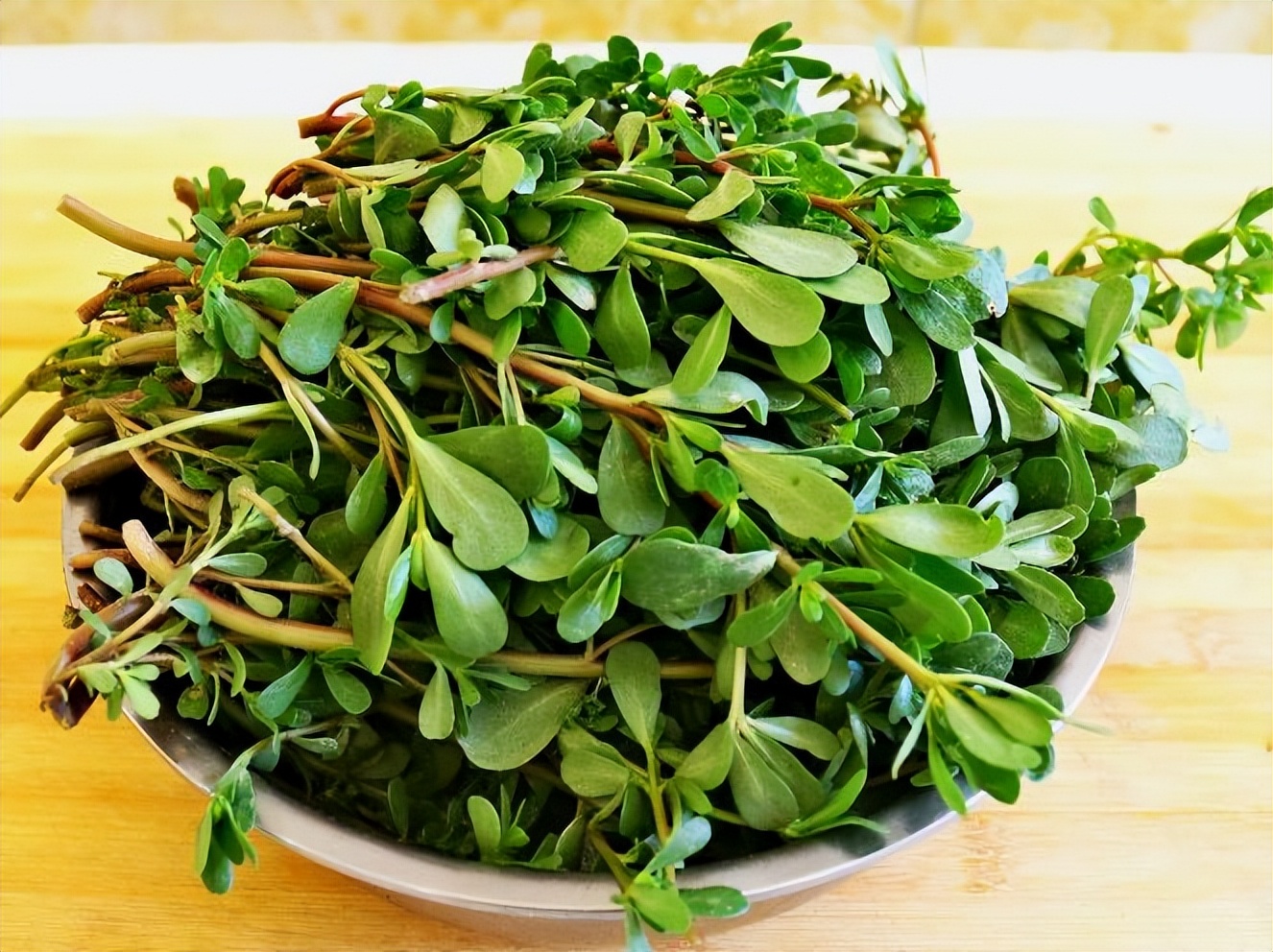 "Purslane" is a treasure, used to boil water to drink, or it can help ...