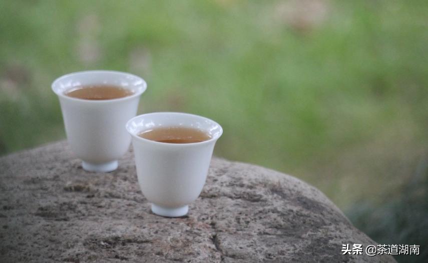 Single plant, ancient tree, fake tea... are actually the keywords of ...