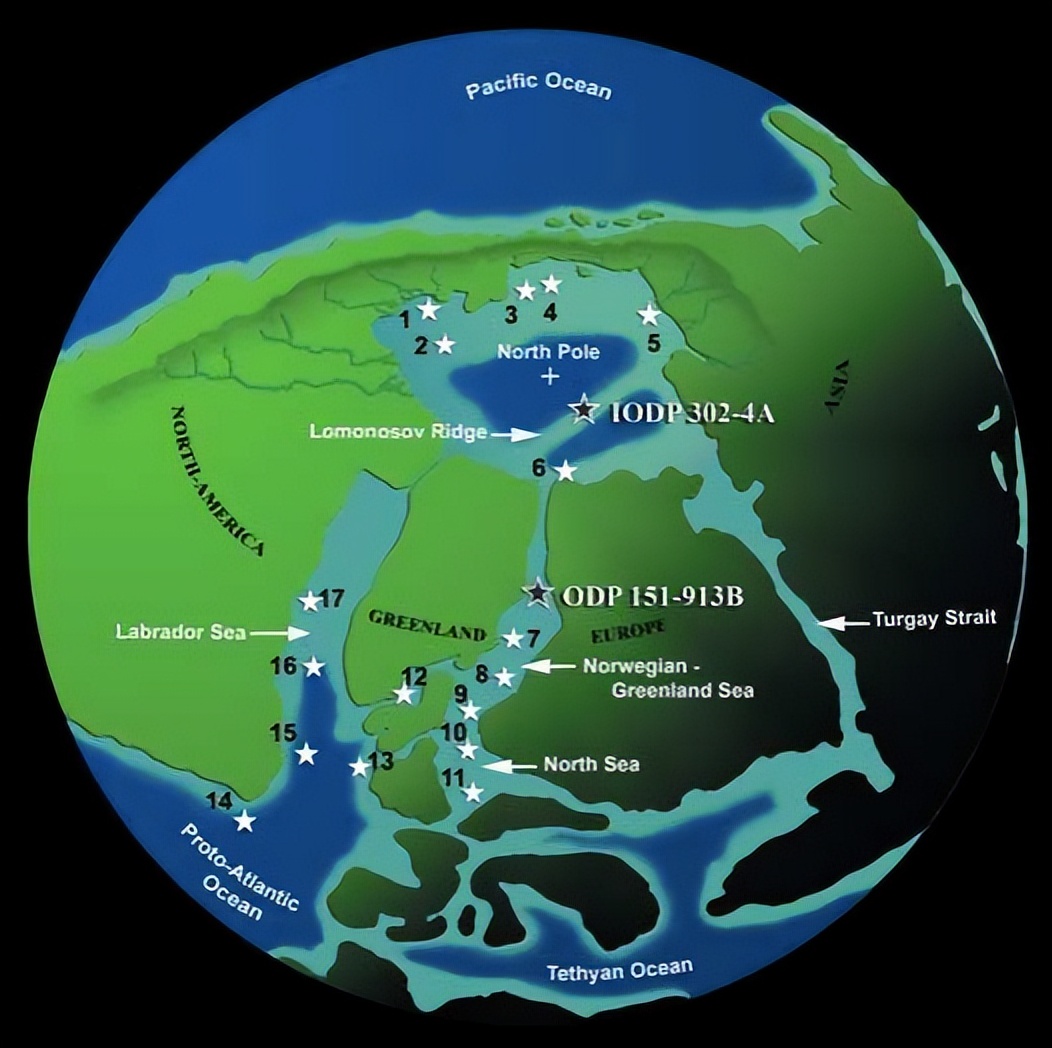 This plant may improve Earth's greenhouse effect - iNEWS