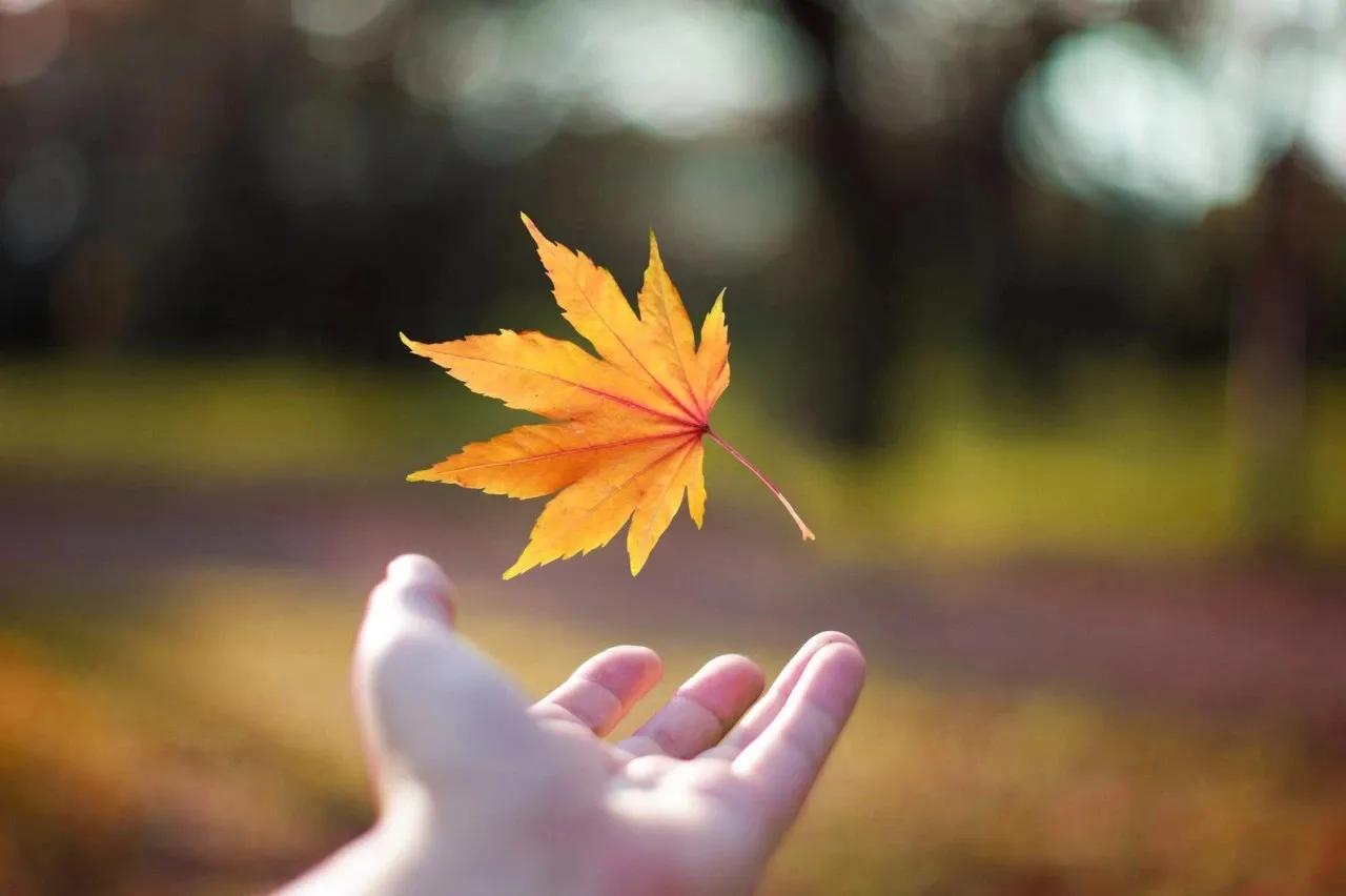 Appreciation: The Most Beautiful October - iNEWS