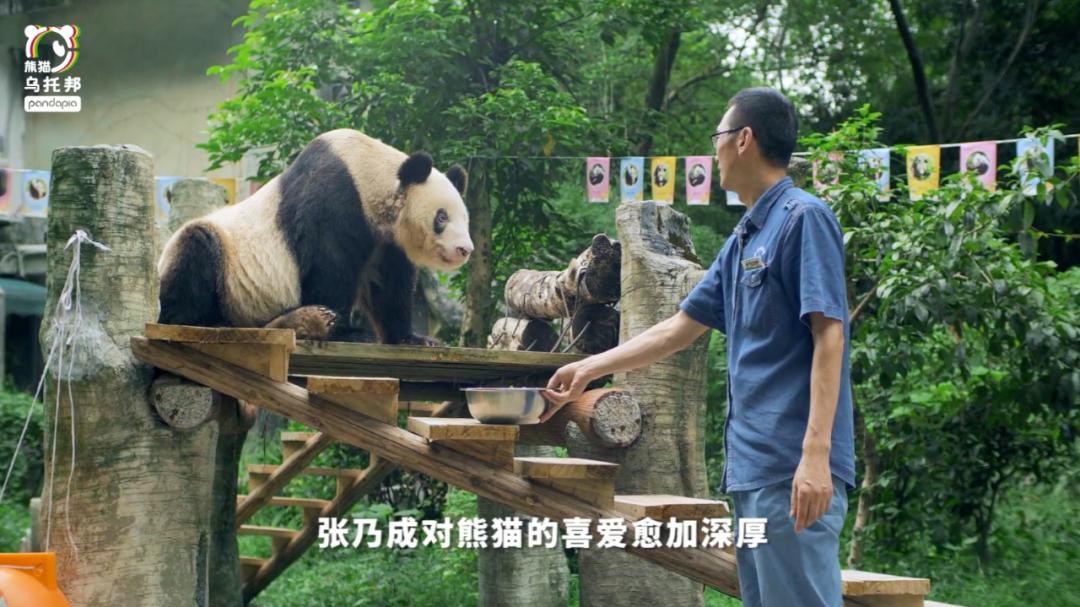 I've never seen him look like an infant son, but I've seen a pink panda ...