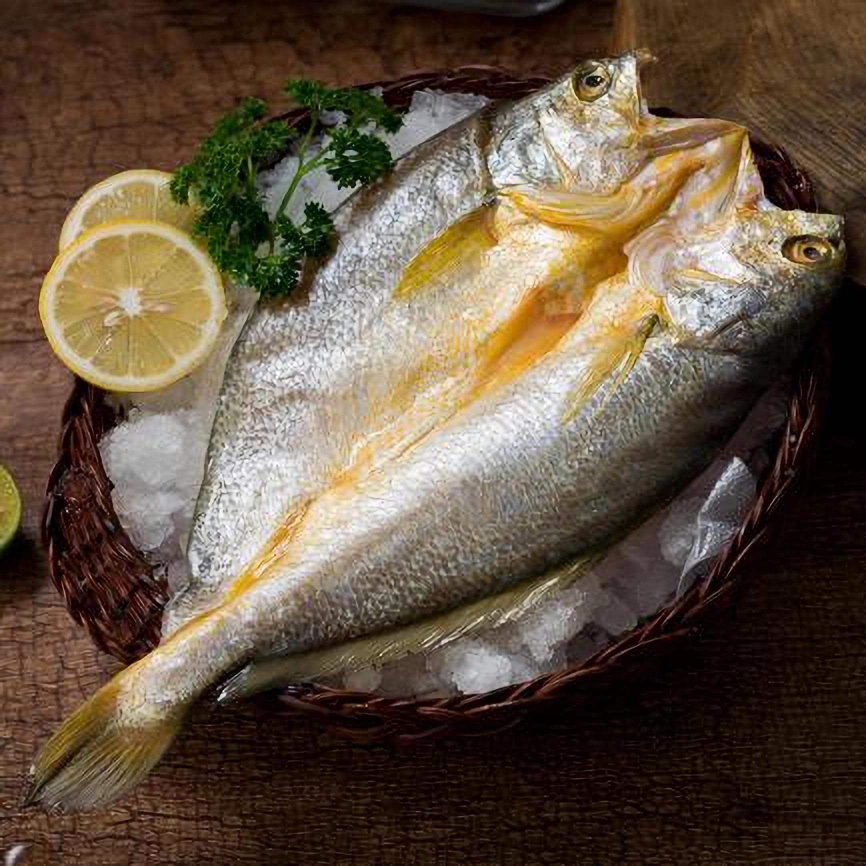 Put an end to rumors! Freshly killed fish is the best? most people get ...