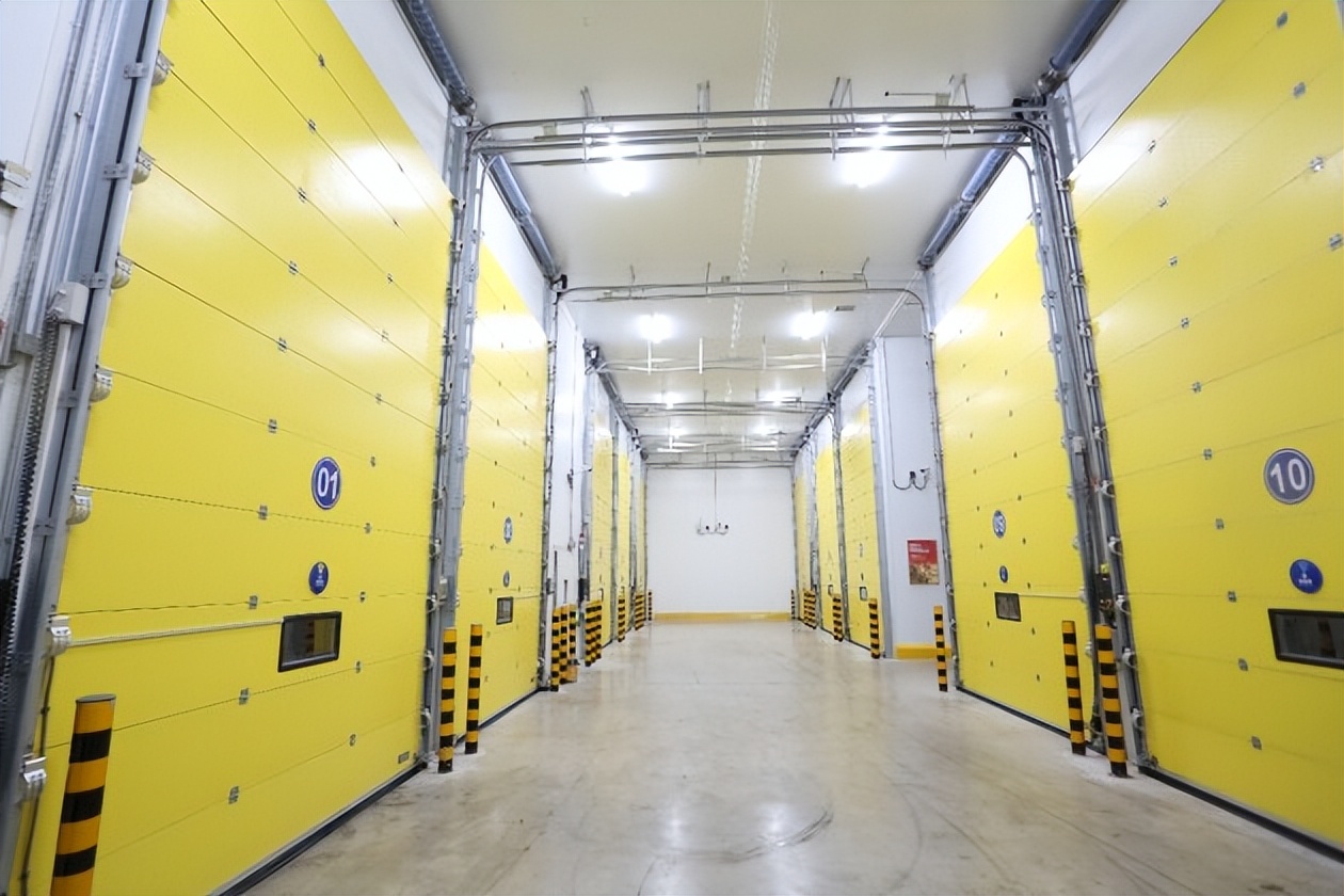 See Wanwei logistics integrated supply chain from a kiwi fruit - iNEWS