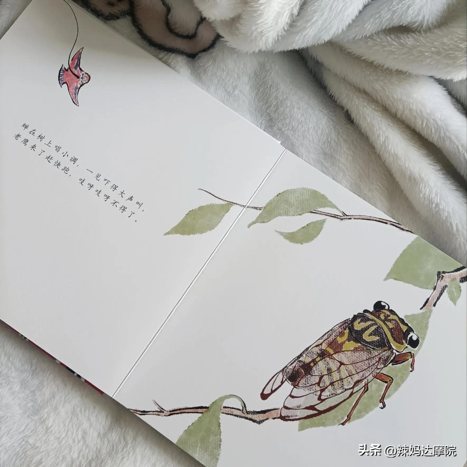 Hahaha! Finally, there are children who like picture books that don't ...