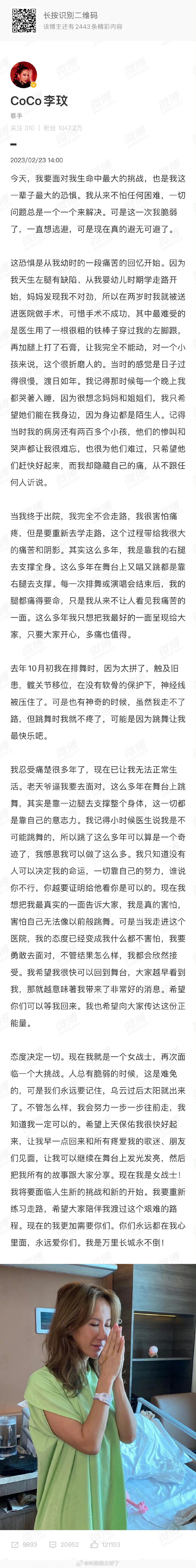 Chinese Goddess Coco Lee: Farewell, the voice that sang in the movie ...