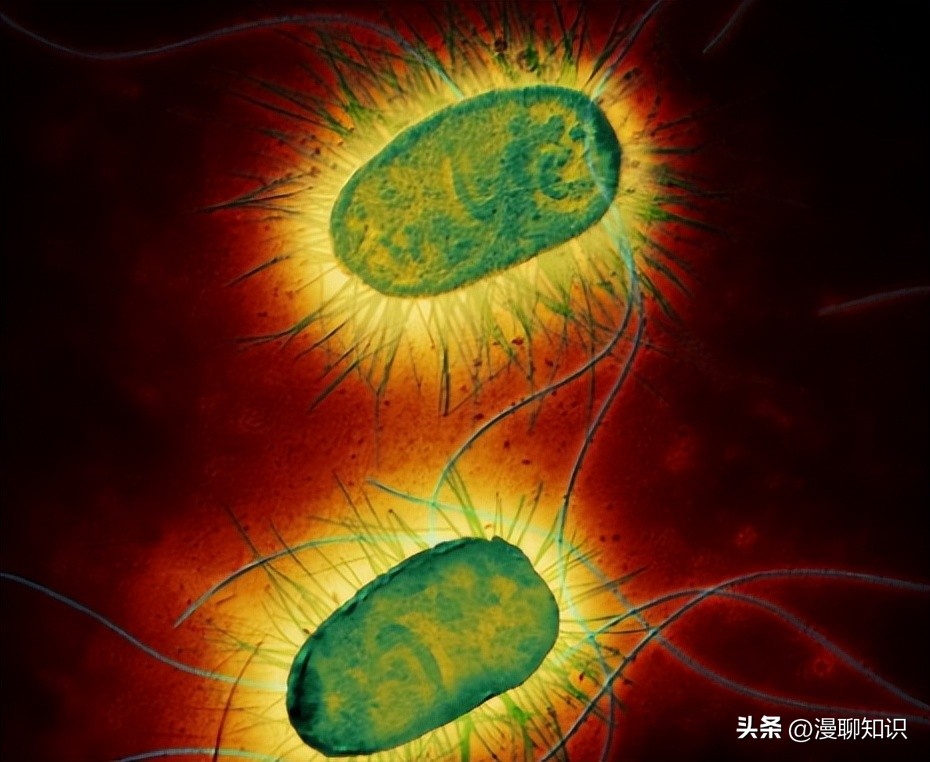 SOFA Score Predicts Sepsis Mortality, Can We Improve Screening Quality ...