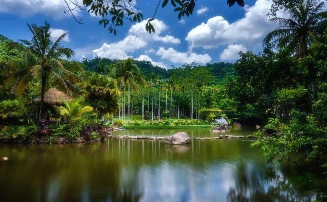 Extremely rare!The "Stone Tiger" was discovered for the first time in ...