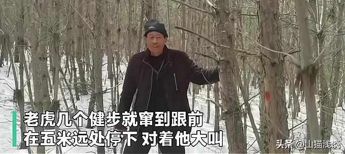 The old man faced the tiger in a thrilling life.We meet tigers in the ...