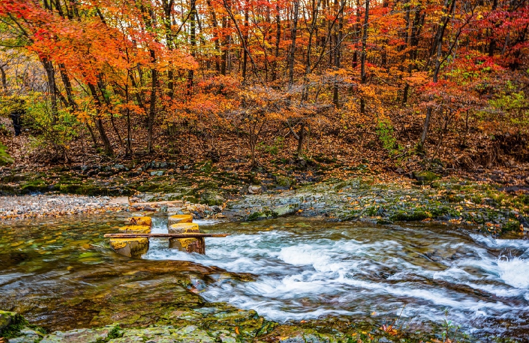 It's red!Benxi, the most beautiful maple leaf viewing spot, ranks first ...