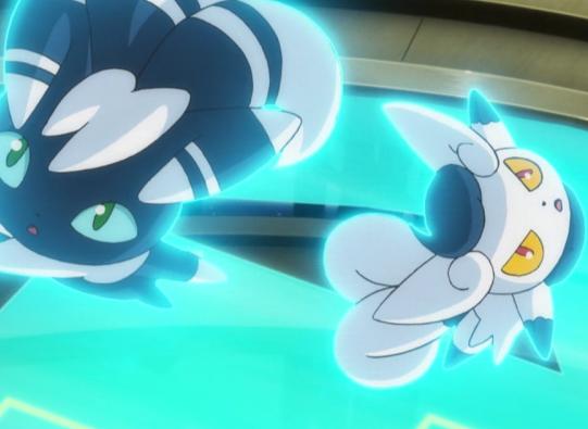 A team of cat players with a large number of cat Pokémon - iNEWS