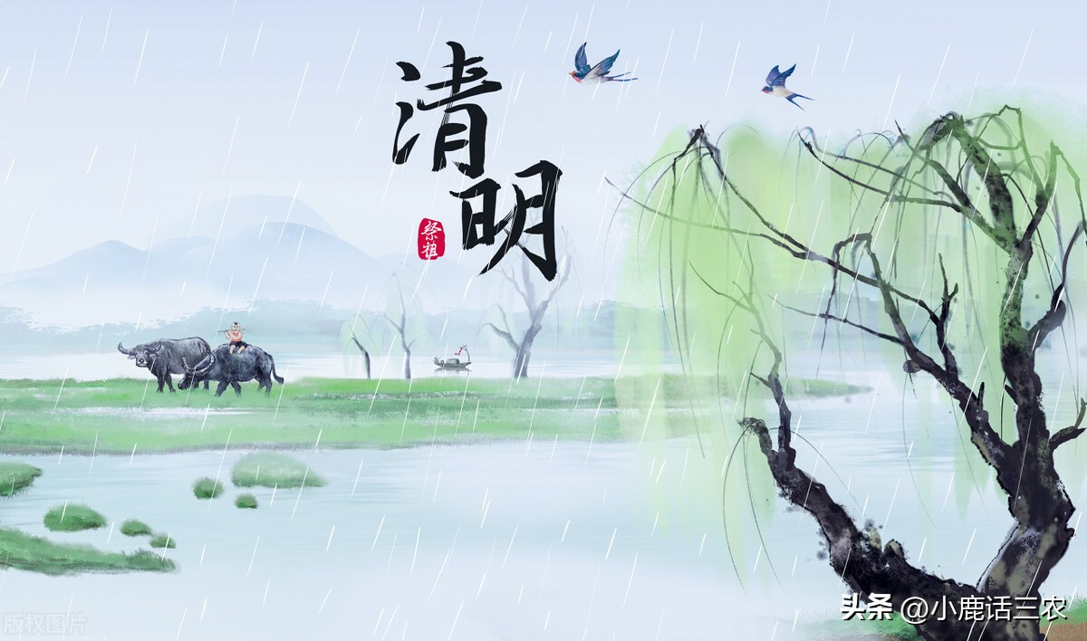 Qingming is approaching. As the saying goes: Qingming is at the head of ...